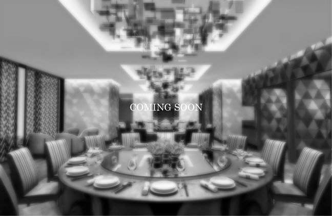 BY SUN HUNG KAI PROPERTIES @NAM CHEONG STATION - SALT International Co ...